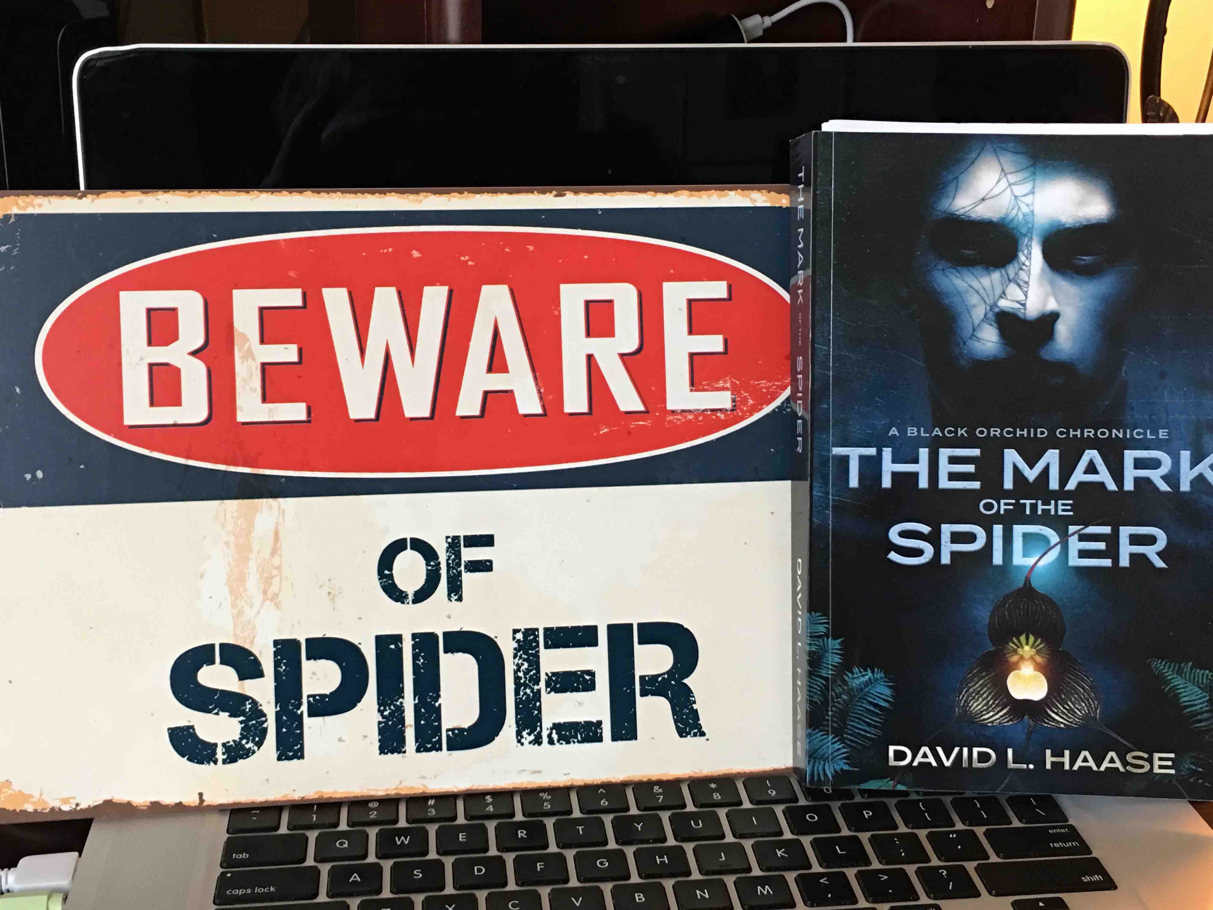 On Choosing a Book Title: Beware the Spider | David L. Haase